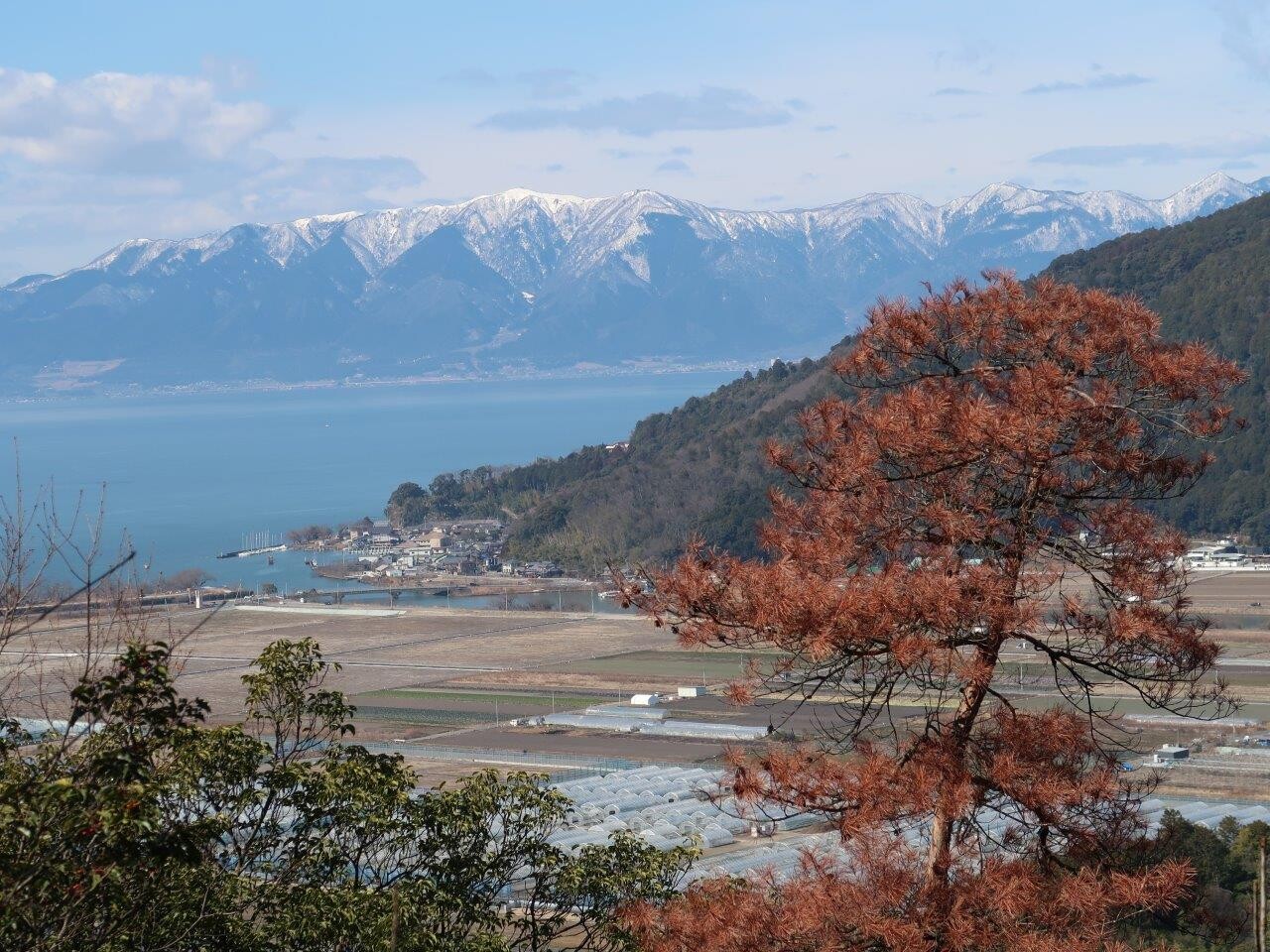 望西峰・鶴翼山(八幡山) / sensaさんの八幡山（鶴翼山）の活動データ | YAMAP / ヤマップ