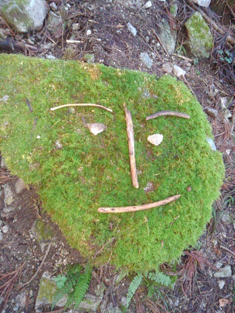 smileなかさんの投稿したフィールドメモ | YAMAP / ヤマップ