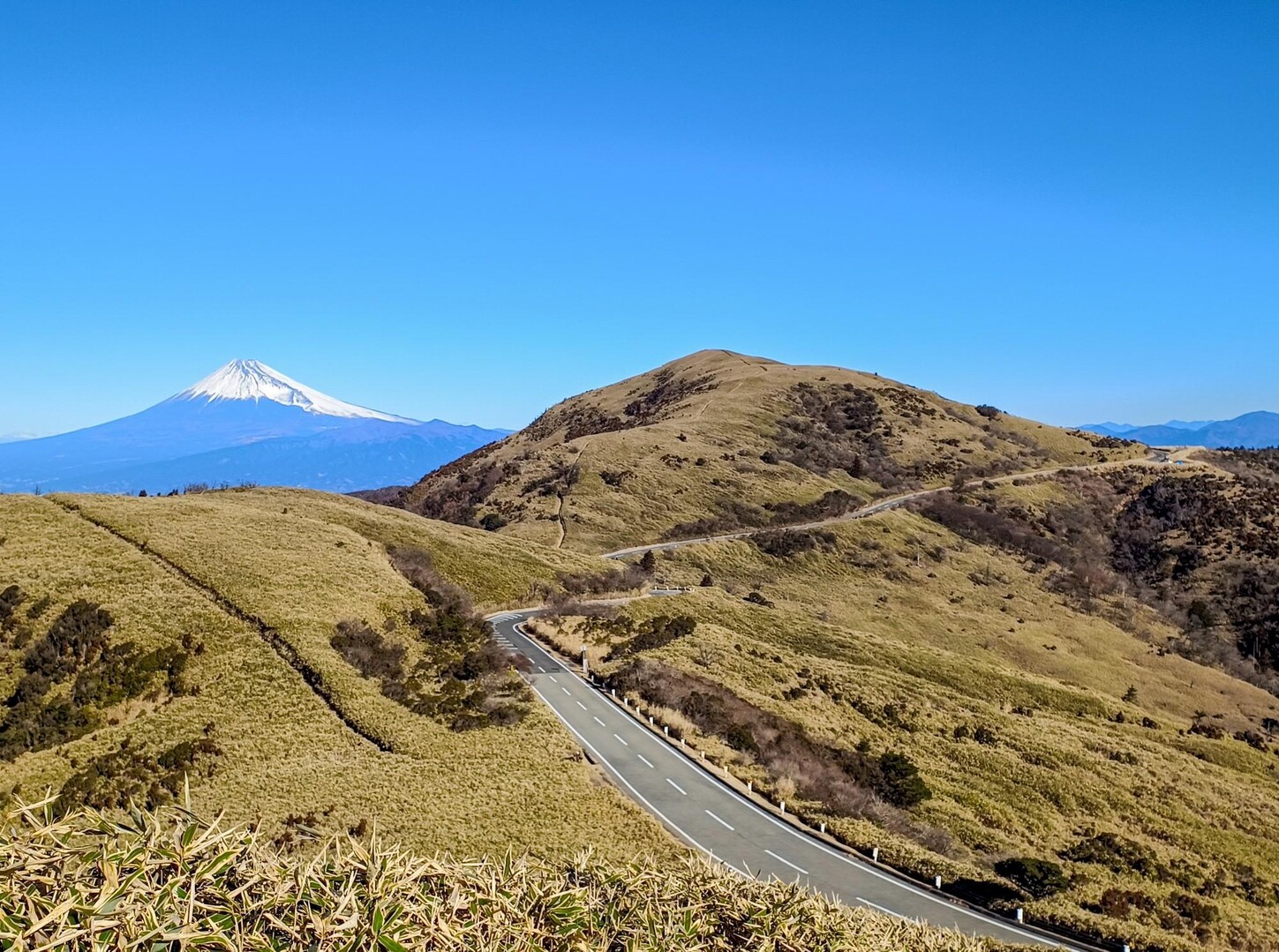 伽藍山・古稀山・達磨山・小達磨山・金冠山 / nao.okさんの金冠山・達磨山・葛城山の活動日記 | YAMAP / ヤマップ