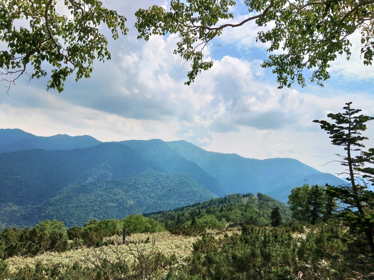 上滝山で遊山 / ふじやんさんのGT3 7の活動データ | YAMAP / ヤマップ