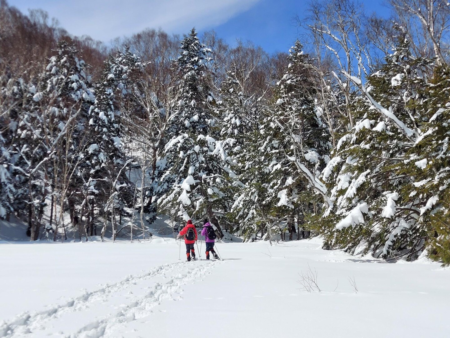 志賀高原でスノーシュー。ガイドさんと、長池から / ぶりちゃんさんの横手山・志賀山・赤石山の活動データ | YAMAP / ヤマップ