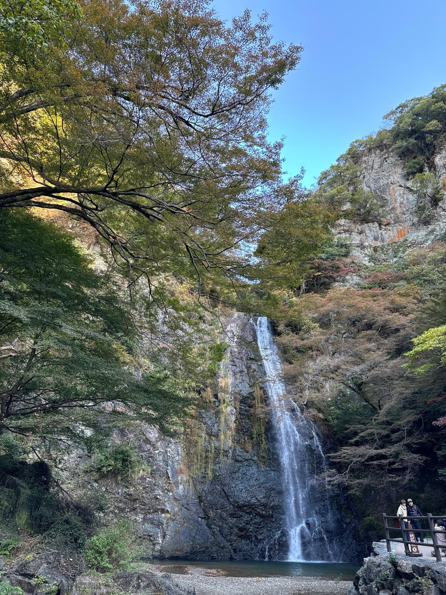 箕面山 / Teddyさんの六個山・鉢伏山・明ヶ田尾山・五月山の活動データ | YAMAP / ヤマップ