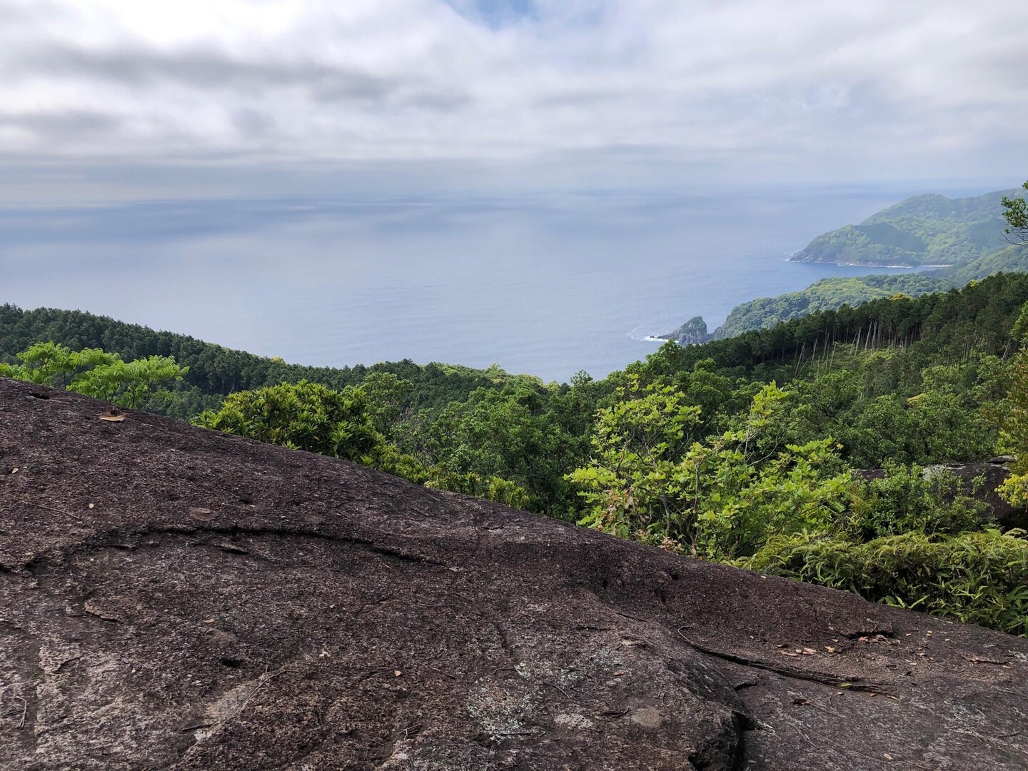 頂山・オハイ / Mt.zakiさんの八鬼山・頂山・オハイの活動データ | YAMAP / ヤマップ