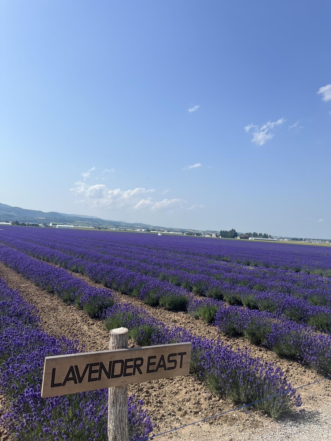 最後はここー。 ファーム富田ラベンダー ... / sasaさんのモーメント | YAMAP / ヤマップ