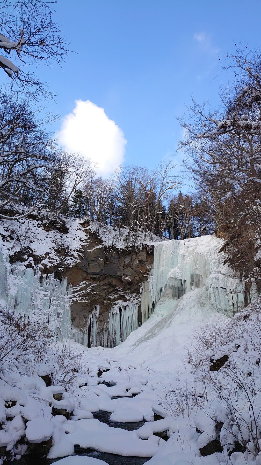 冬の滝野すずらん公園 / kai-ta さんの野牛山・北広山の活動データ | YAMAP / ヤマップ