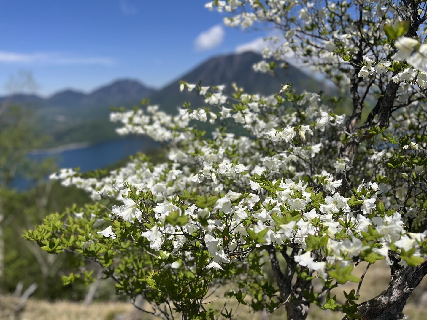 社山 / Takakoさんの社山・半月山の活動データ | YAMAP / ヤマップ