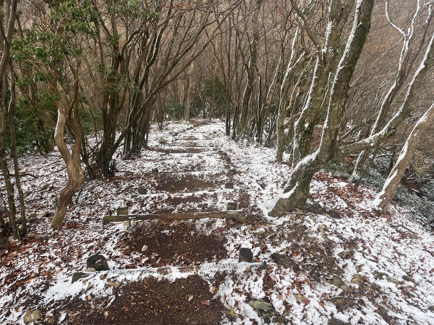 三方山・北尾根P826峰 / Jamesさんの養老山・笙ヶ岳・三方山の活動データ | YAMAP / ヤマップ