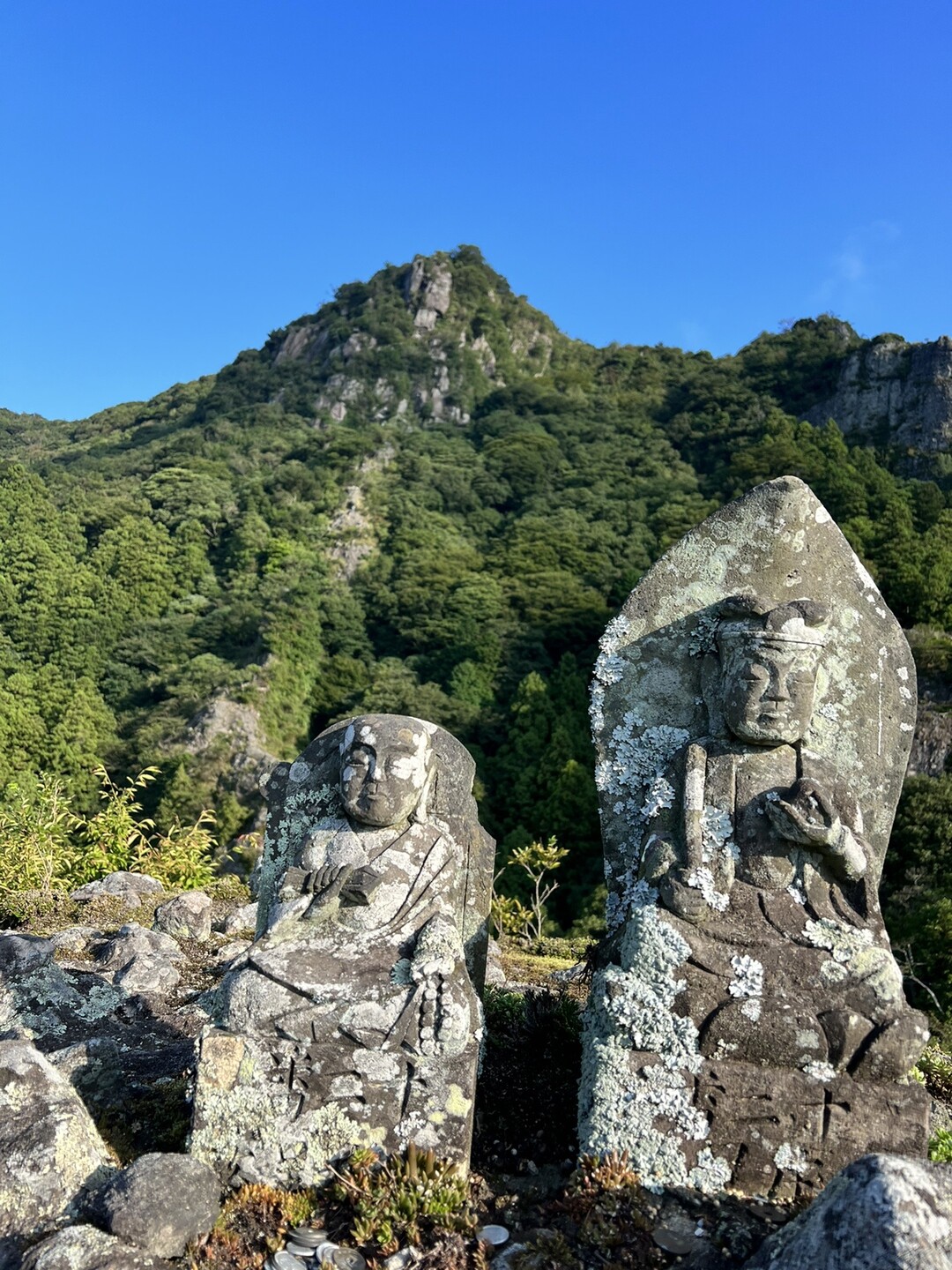 津波戸山 / mimさんの御許山・雲ヶ岳・米神山の活動データ | YAMAP / ヤマップ