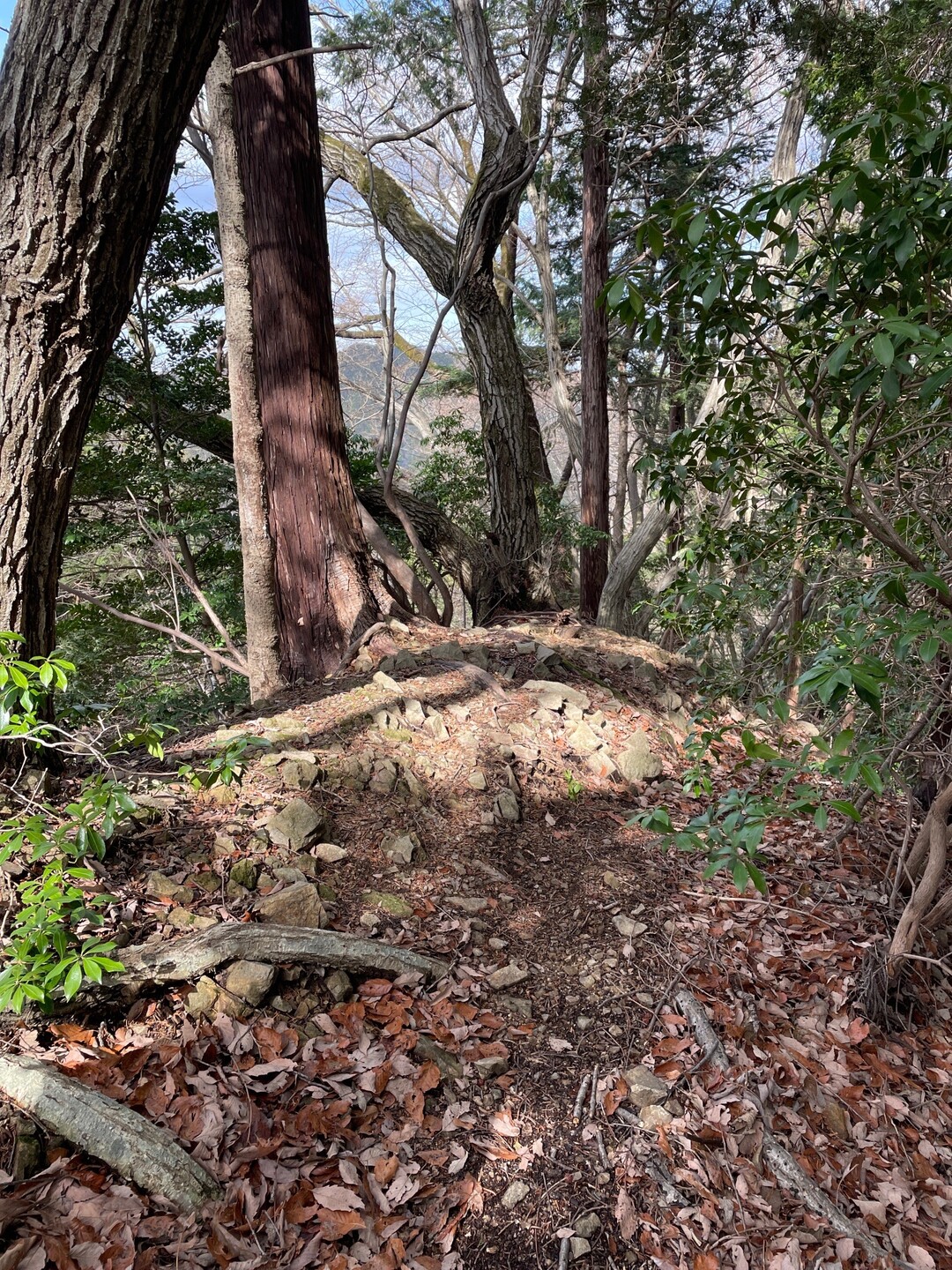 monamonaさんの投稿したフィールドメモ | YAMAP / ヤマップ