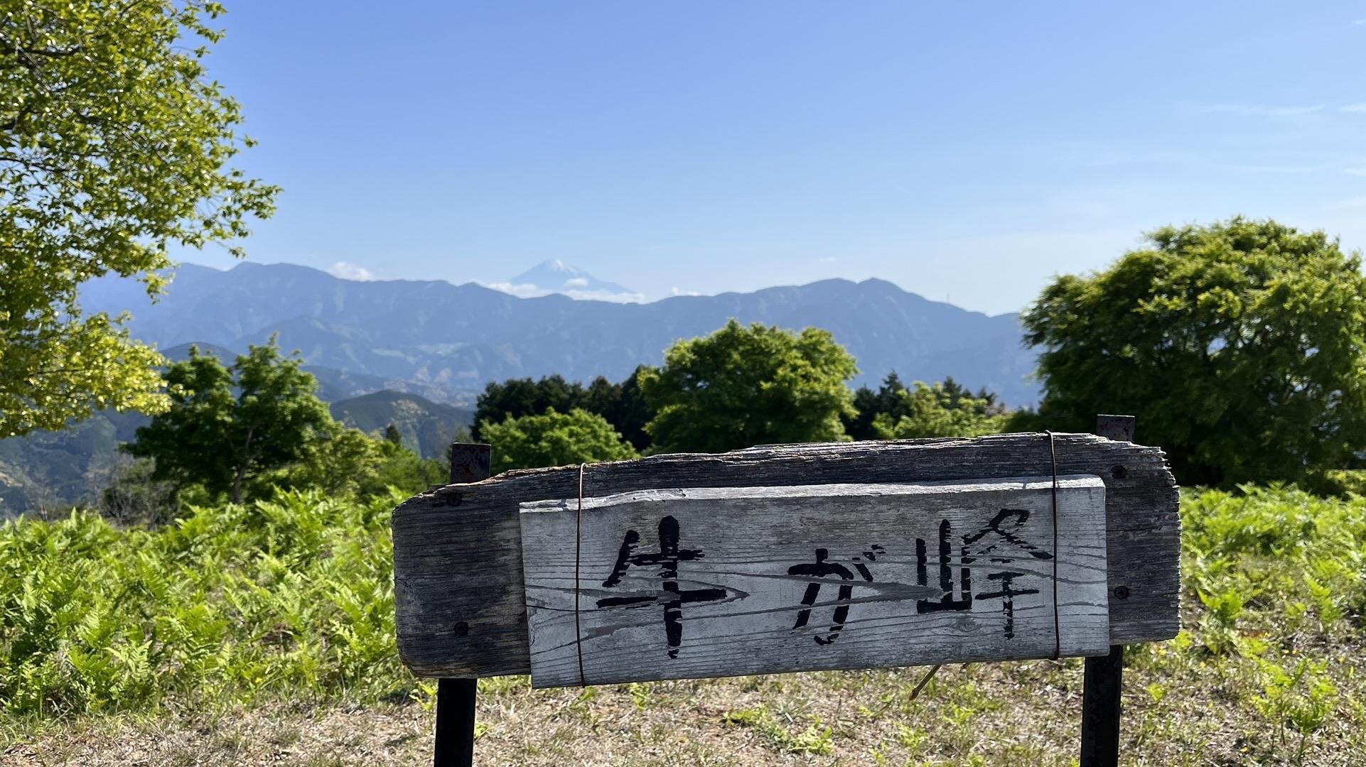 高山（牛ヶ峰） / hpapa-nさんの突先山・高山（牛ヶ峰）・大棚山の活動データ | YAMAP / ヤマップ
