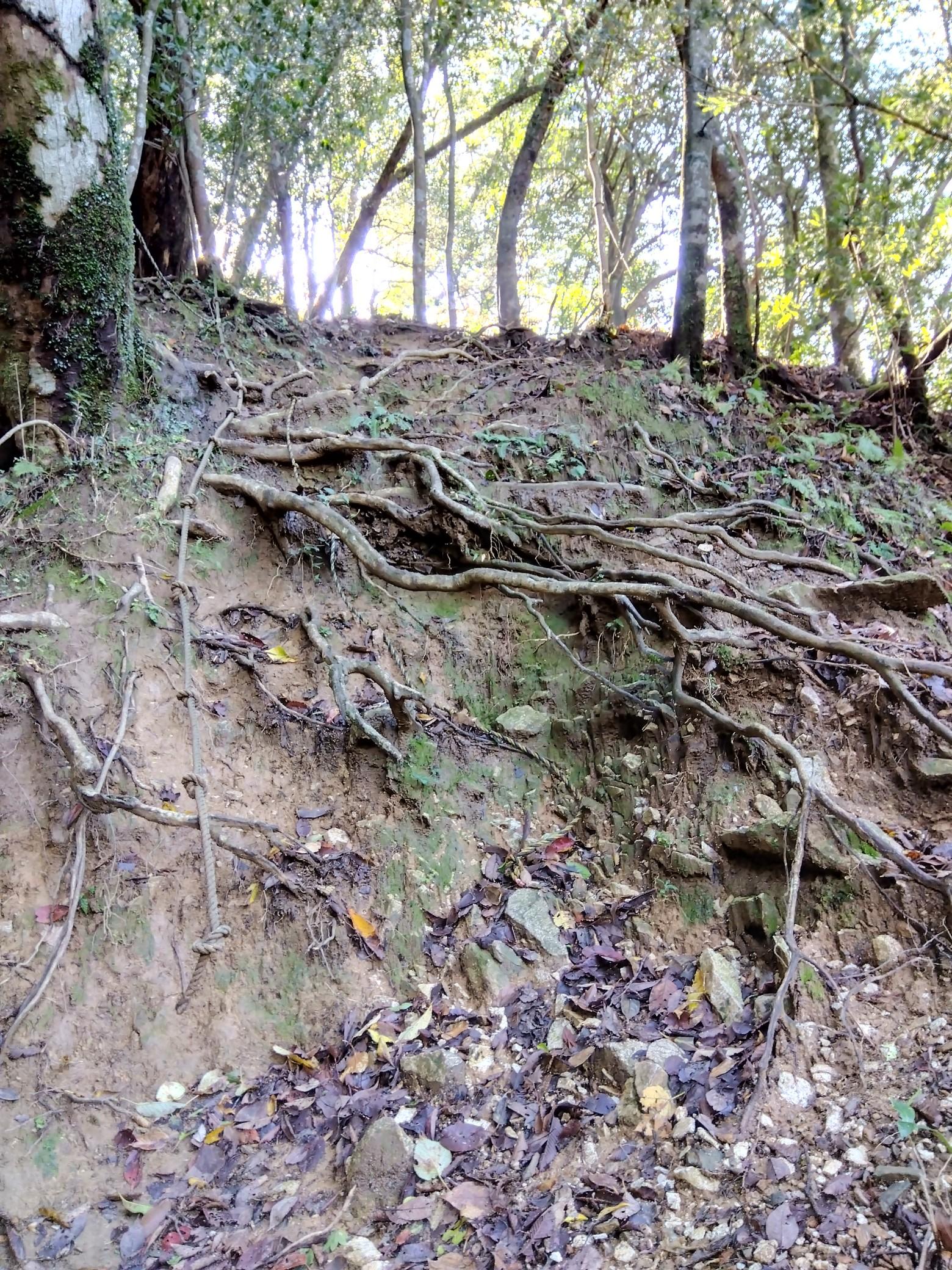 ryuさんの投稿したフィールドメモ | YAMAP / ヤマップ