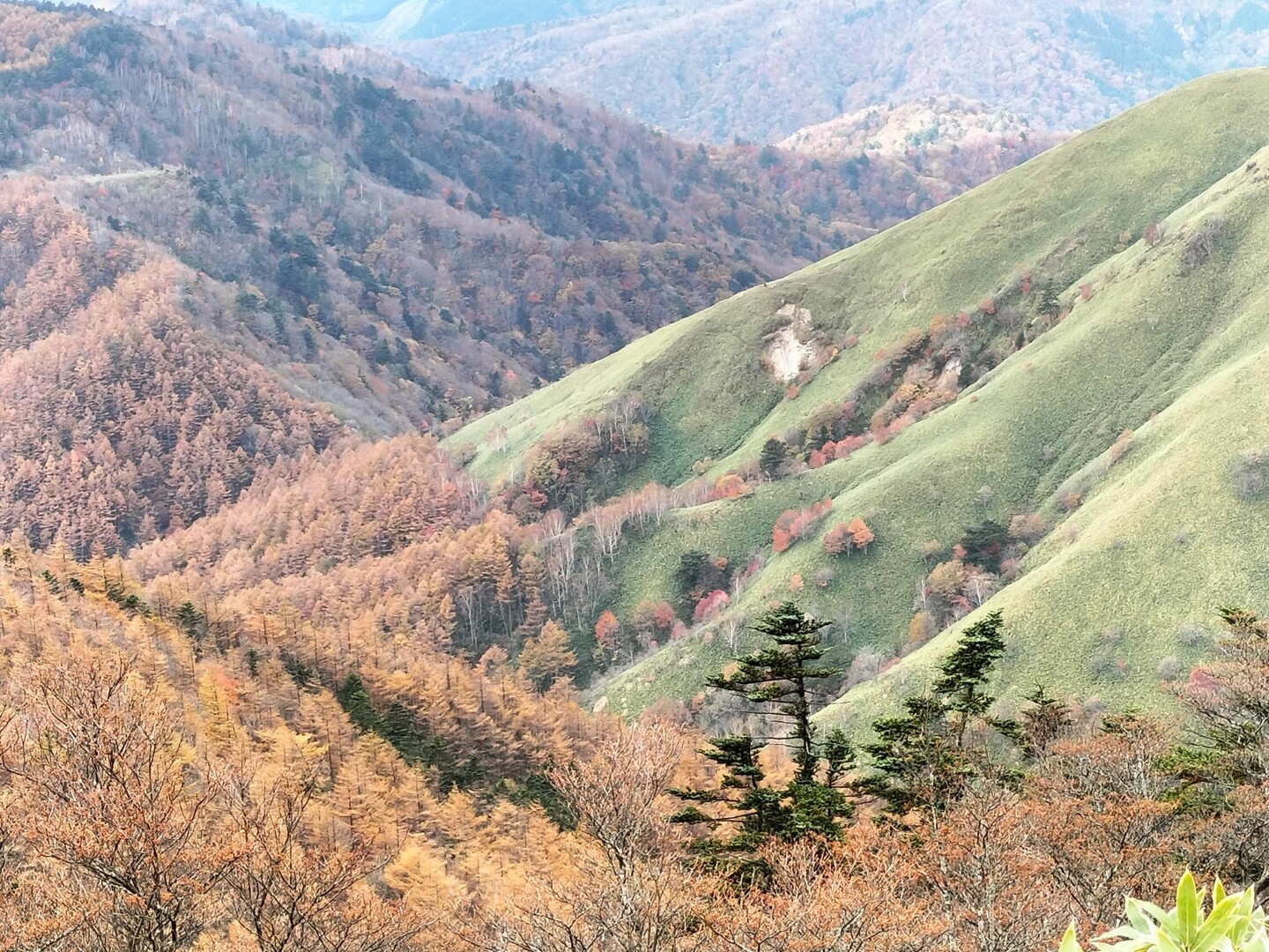ハロウィン🎃登山👻 横岳・大川入山 / kazuさんの寧比曽岳・筈ヶ岳・出来山の活動データ | YAMAP / ヤマップ