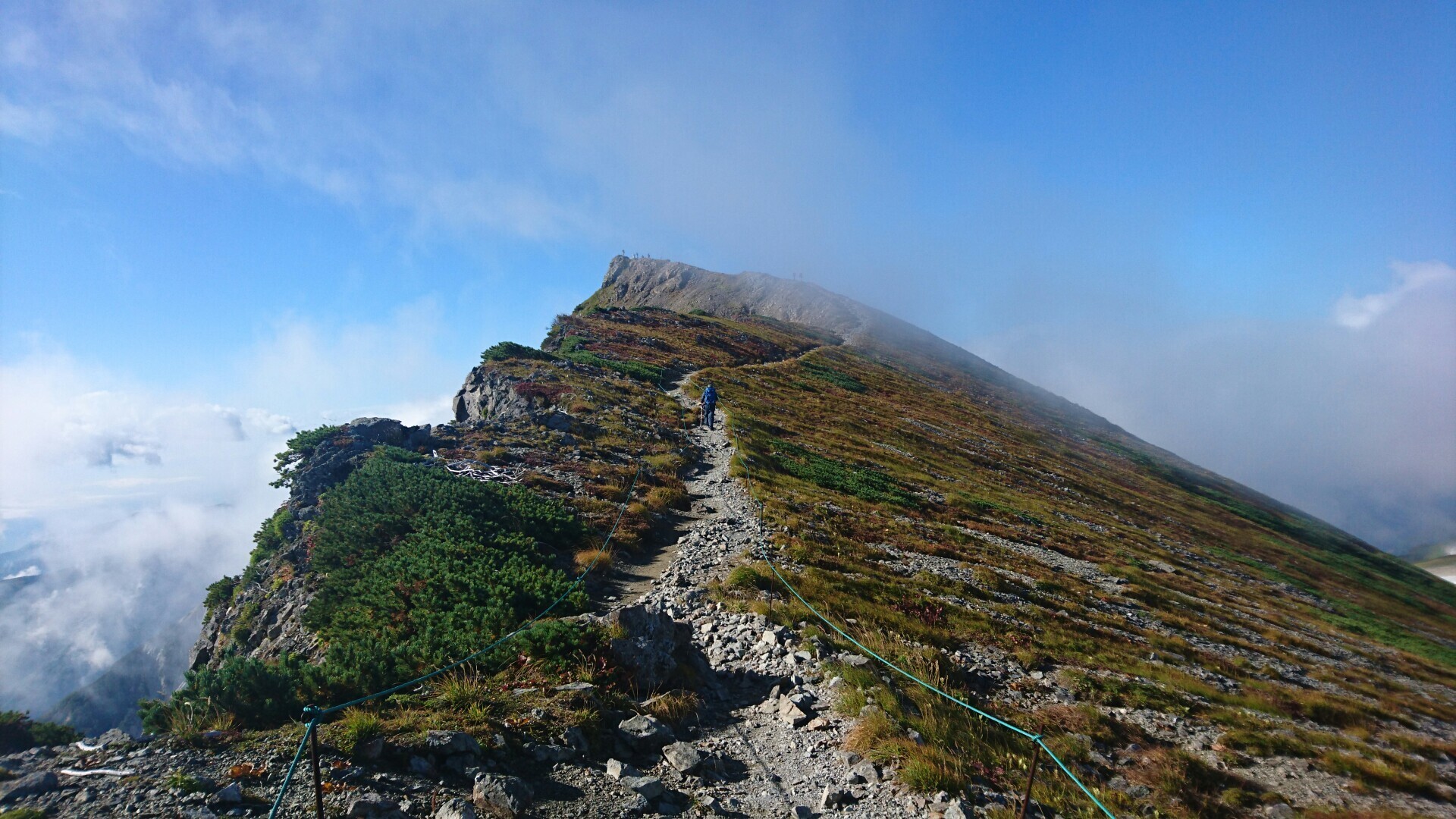 憧れの稜線を満喫☀ / ダイバーさんの白馬岳・小蓮華山の活動データ | YAMAP / ヤマップ