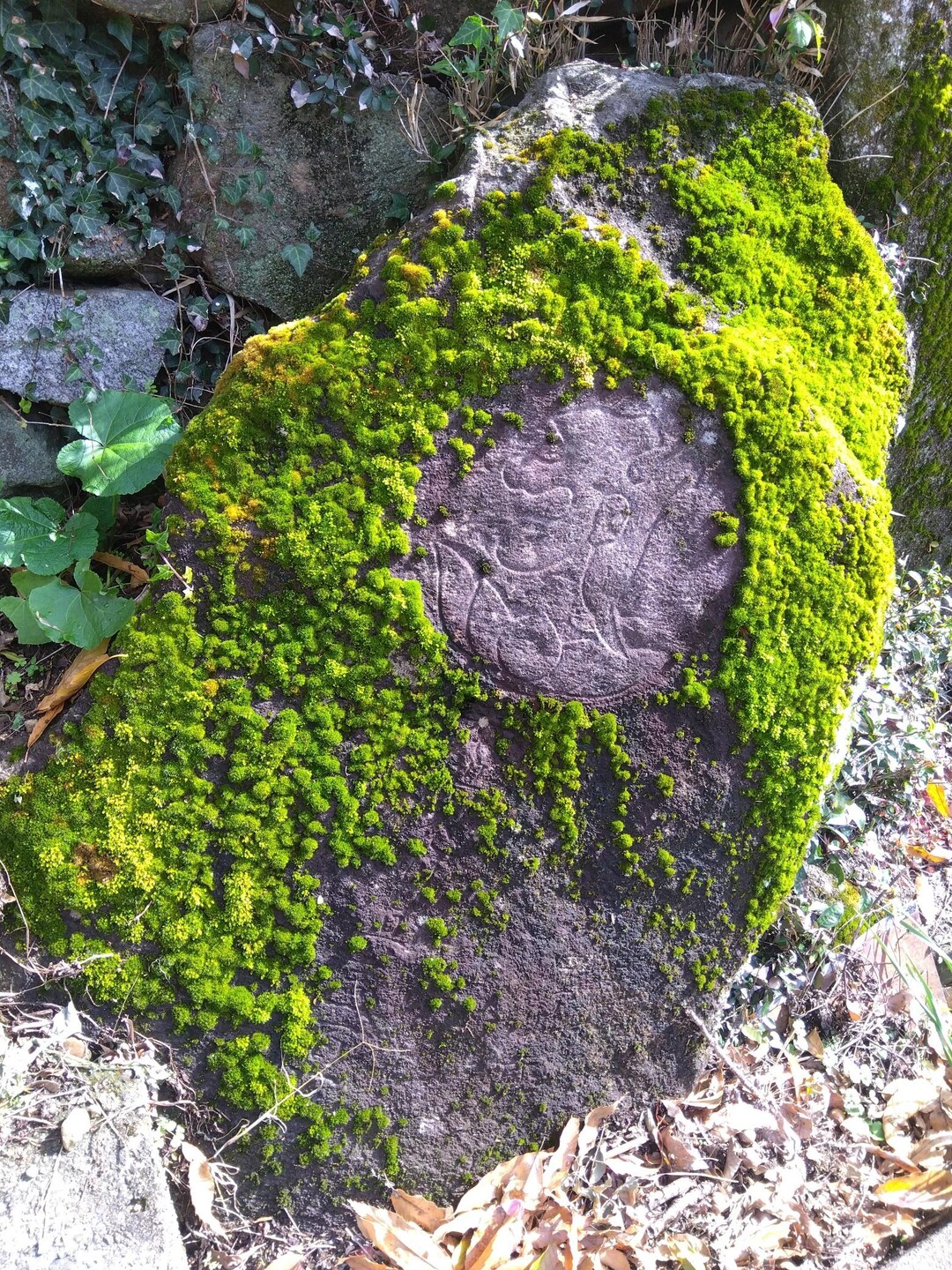 筑波山（男体山）・筑波山（女体山）「男体山登拝道（御幸ヶ原コース）」 / asonさんの筑波山の活動データ | YAMAP / ヤマップ