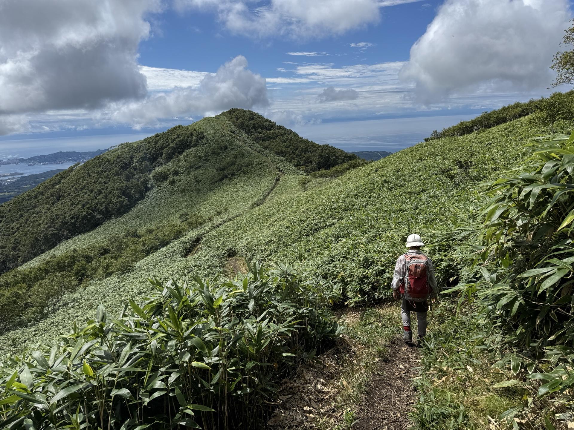 鷲別岳（室蘭岳） 夏道〜西尾根 / Kouさんの鷲別岳（室蘭岳）・カムイヌプリの活動データ | YAMAP / ヤマップ