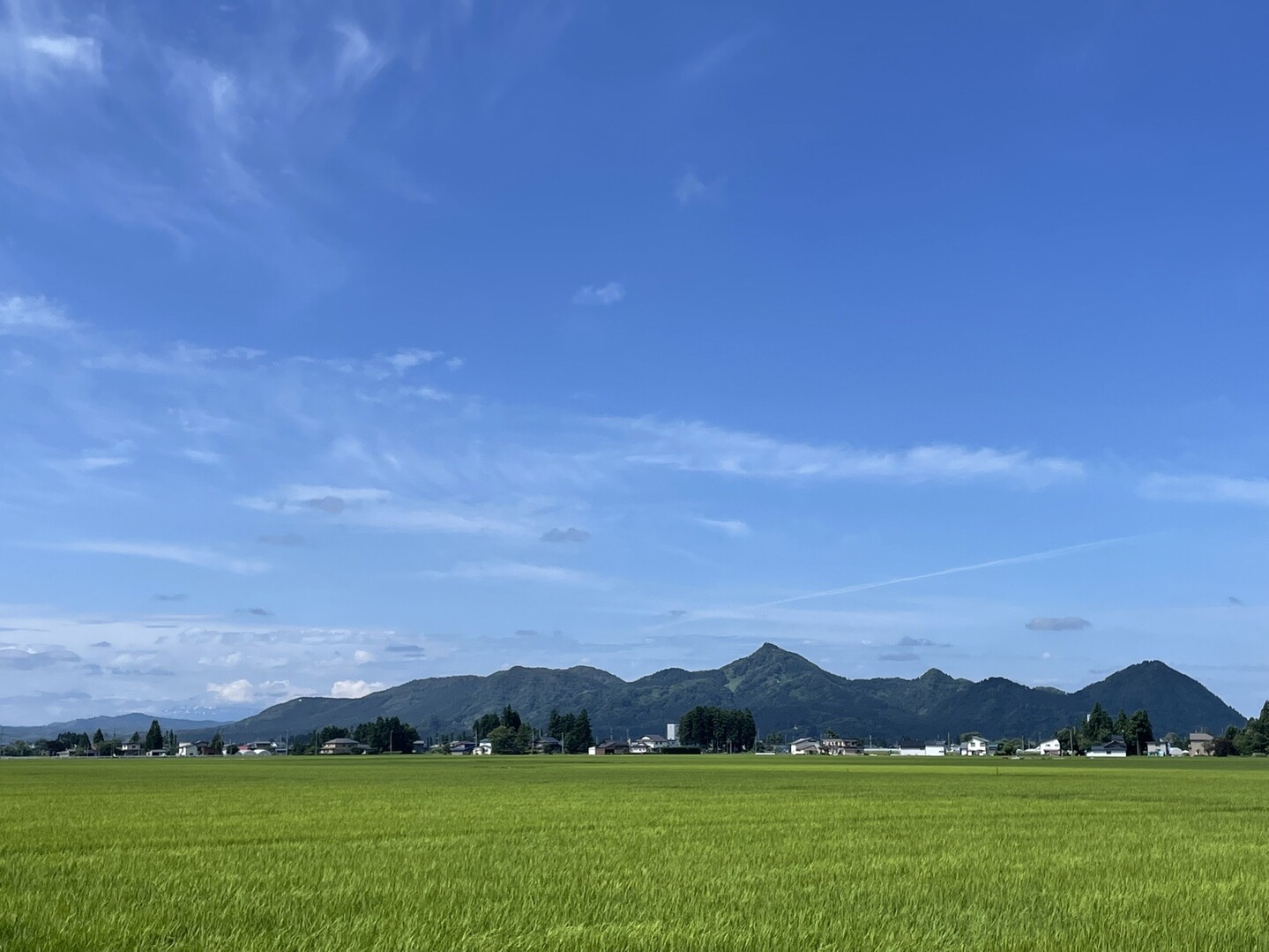 これがobakoさんが登ってた大平山（姫... / junpeiさんのモーメント | YAMAP / ヤマップ