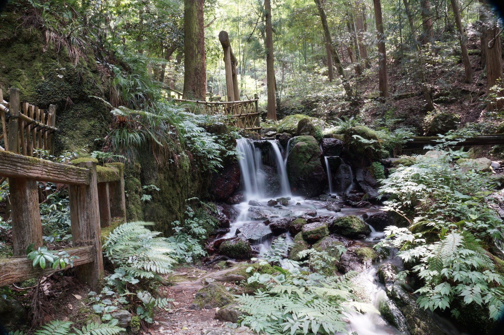 shinのページ | YAMAP / ヤマップ