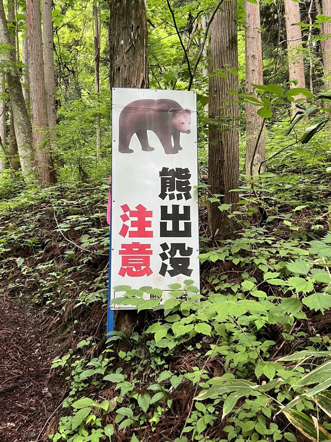 虫倉山 / やっちゃんさんの砂鉢山・虫倉山の活動データ | YAMAP / ヤマップ