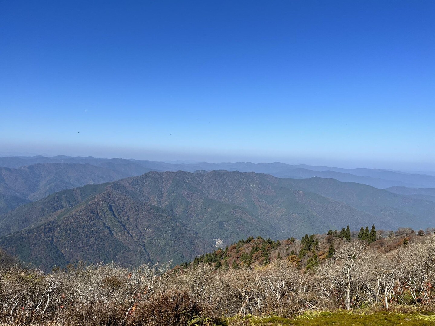 コヤマノ岳・武奈ヶ岳・前山 / AJさんの比良山地・武奈ヶ岳・釈迦岳の活動データ | YAMAP / ヤマップ
