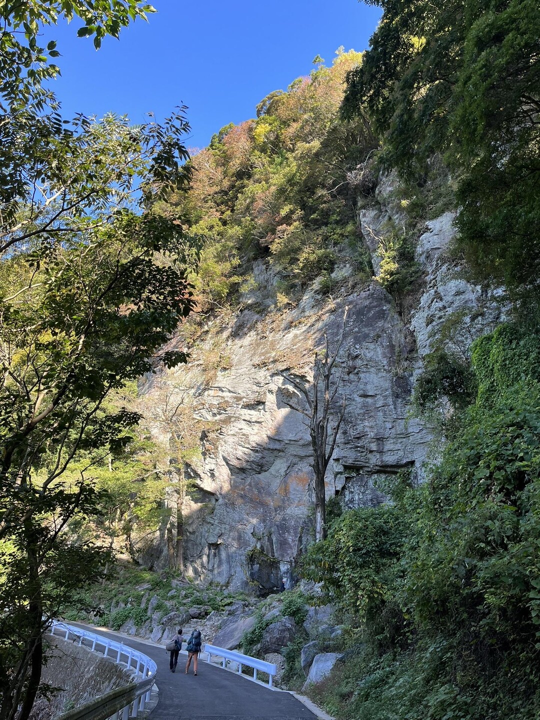 野岳クライミング / YUKIEさんの多良岳・経ヶ岳・五家原岳の活動データ | YAMAP / ヤマップ