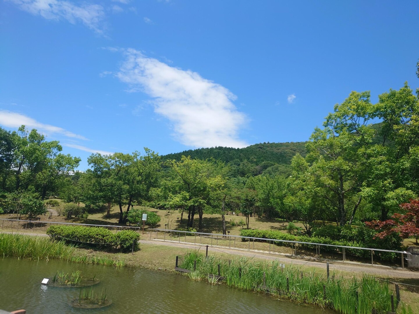 大谷山・弥勒山 / ERIさんの春日井三山・弥勒山・大谷山・道樹山の活動データ | YAMAP / ヤマップ