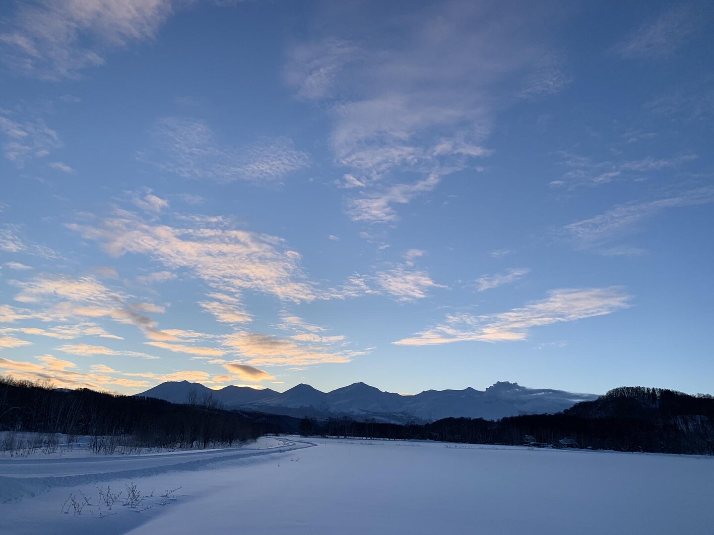 十勝連峰の奥を目指すも、スキーでスネ〜膝... / sho!!さんのモーメント | YAMAP / ヤマップ