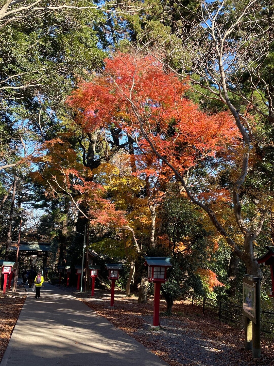 Ushi924さんの投稿したフィールドメモ | YAMAP / ヤマップ