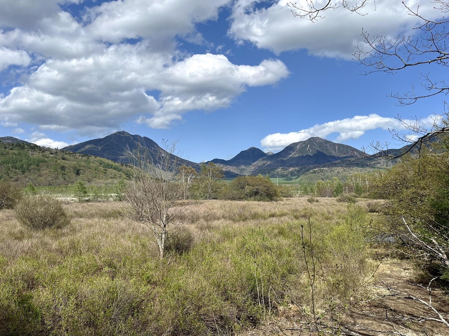 戦場ヶ原・小田代ヶ原ハイキング / maaさんの日光白根山・五色山・錫ヶ岳の活動データ | YAMAP / ヤマップ