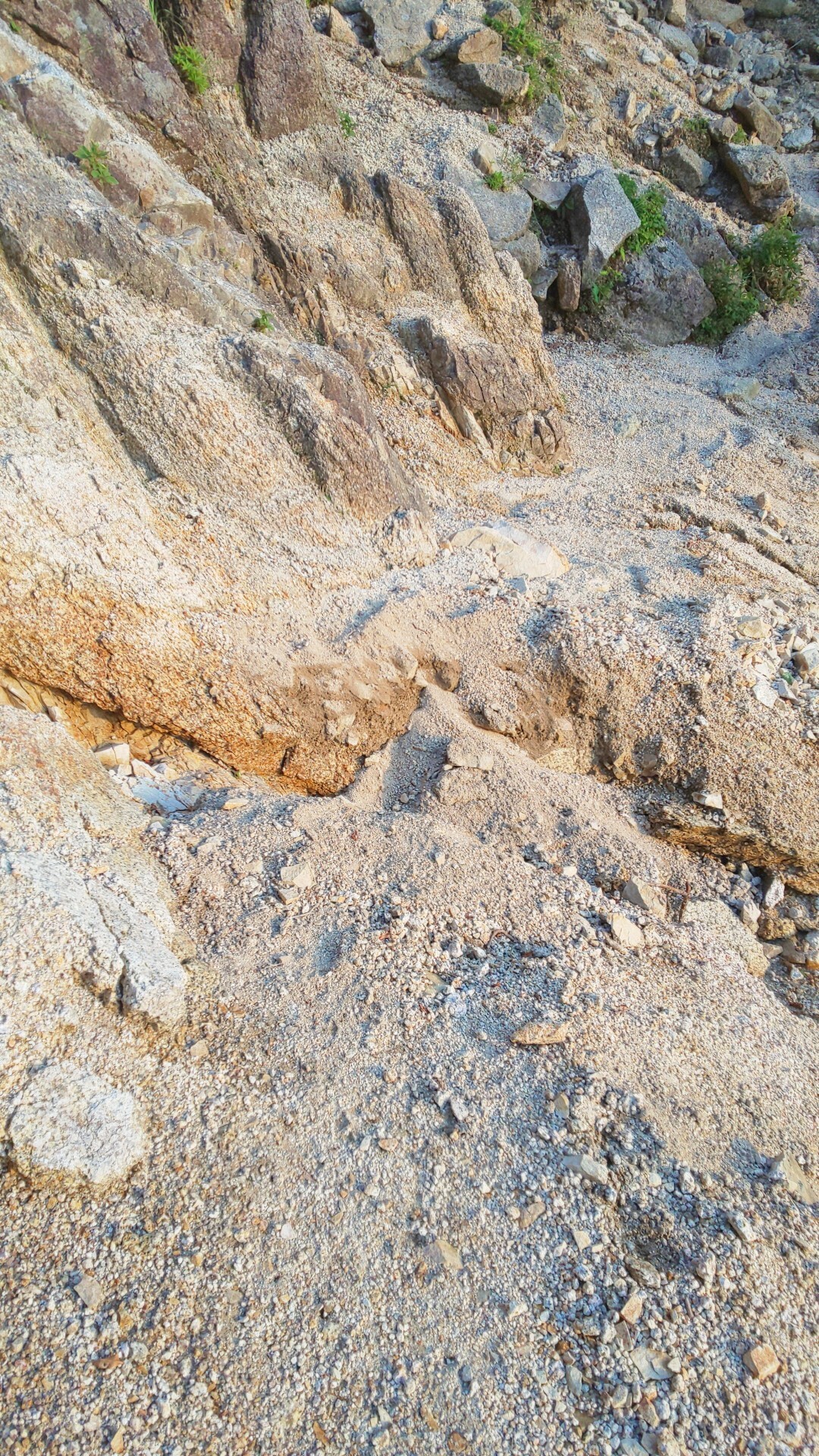 Sunちゃん0315さんの投稿したフィールドメモ | YAMAP / ヤマップ