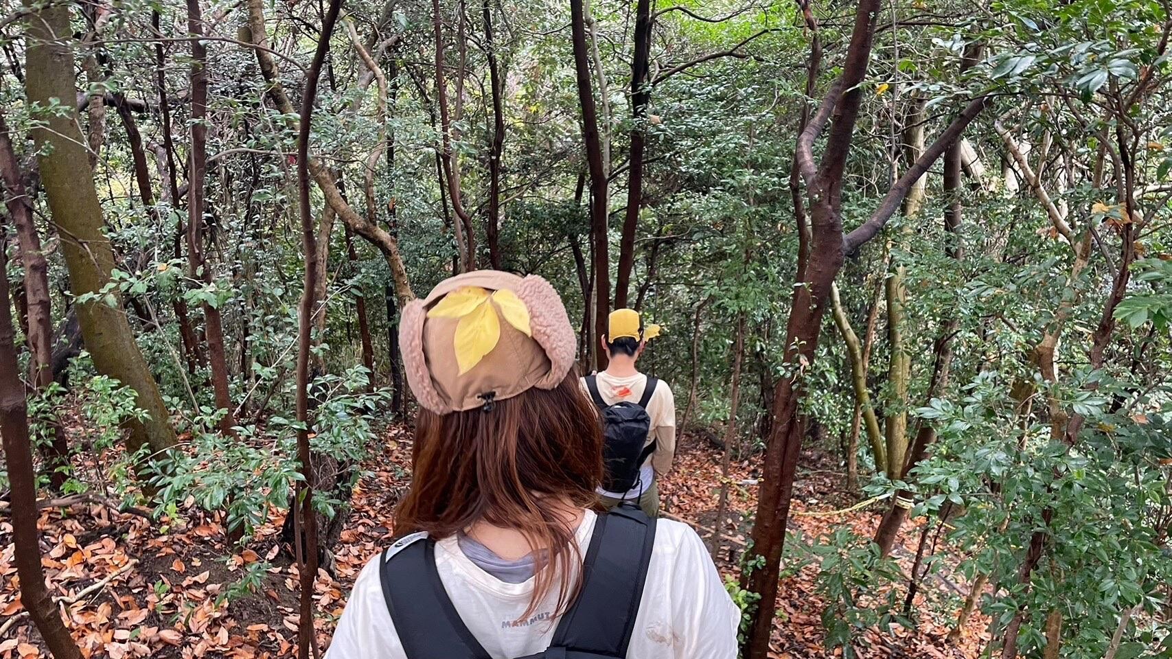 星田連山 / まやさんの交野山・国見山の活動データ | YAMAP / ヤマップ