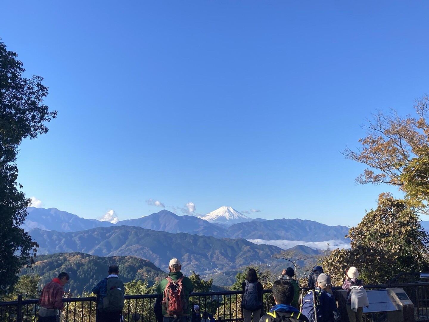 高尾山 紅葉ハンティング / ぐっさんさんの高尾山・陣馬山・景信山の活動データ | YAMAP / ヤマップ