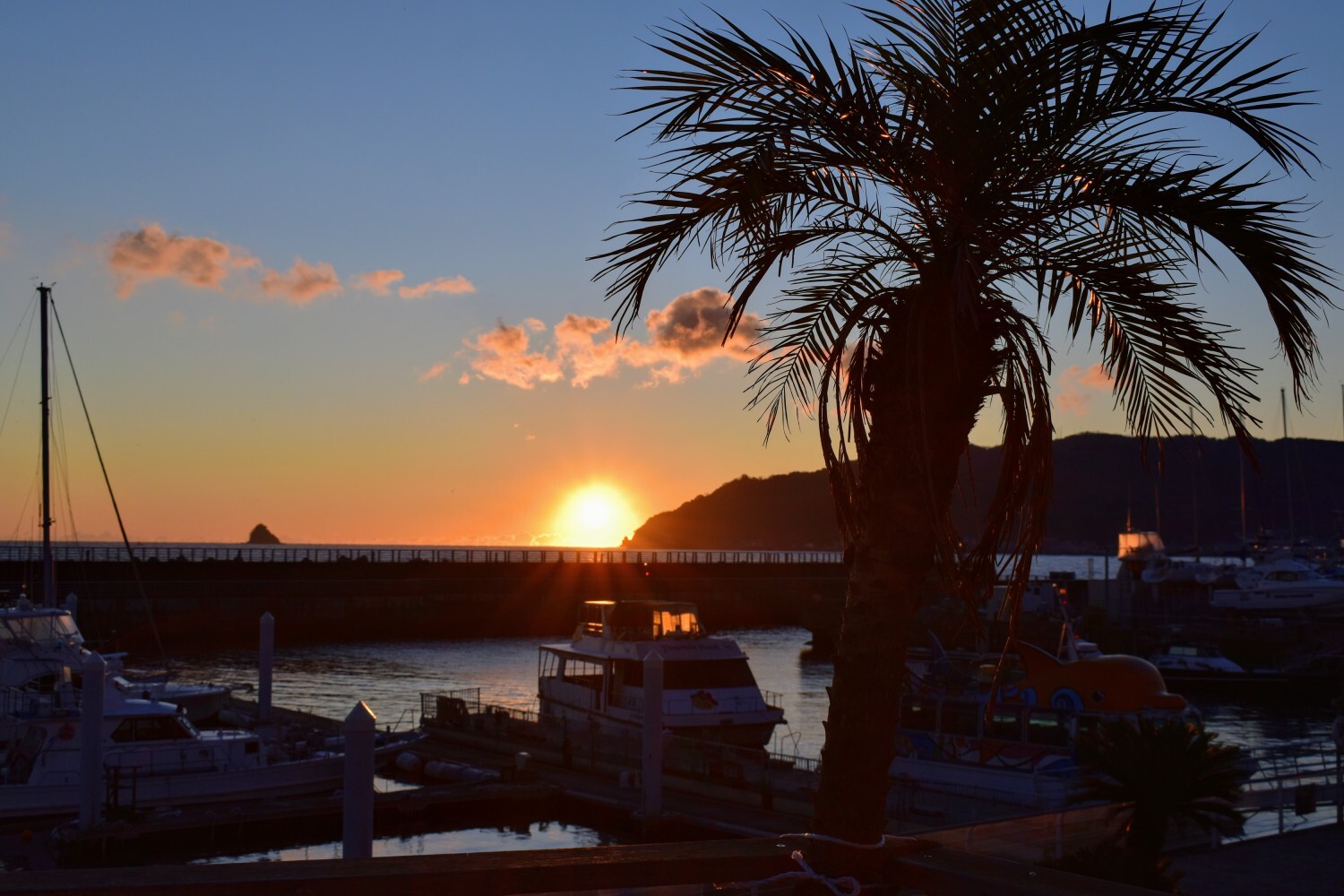 天城山 / MILKさんの天城山・鉢ノ山・三筋山の活動データ | YAMAP / ヤマップ