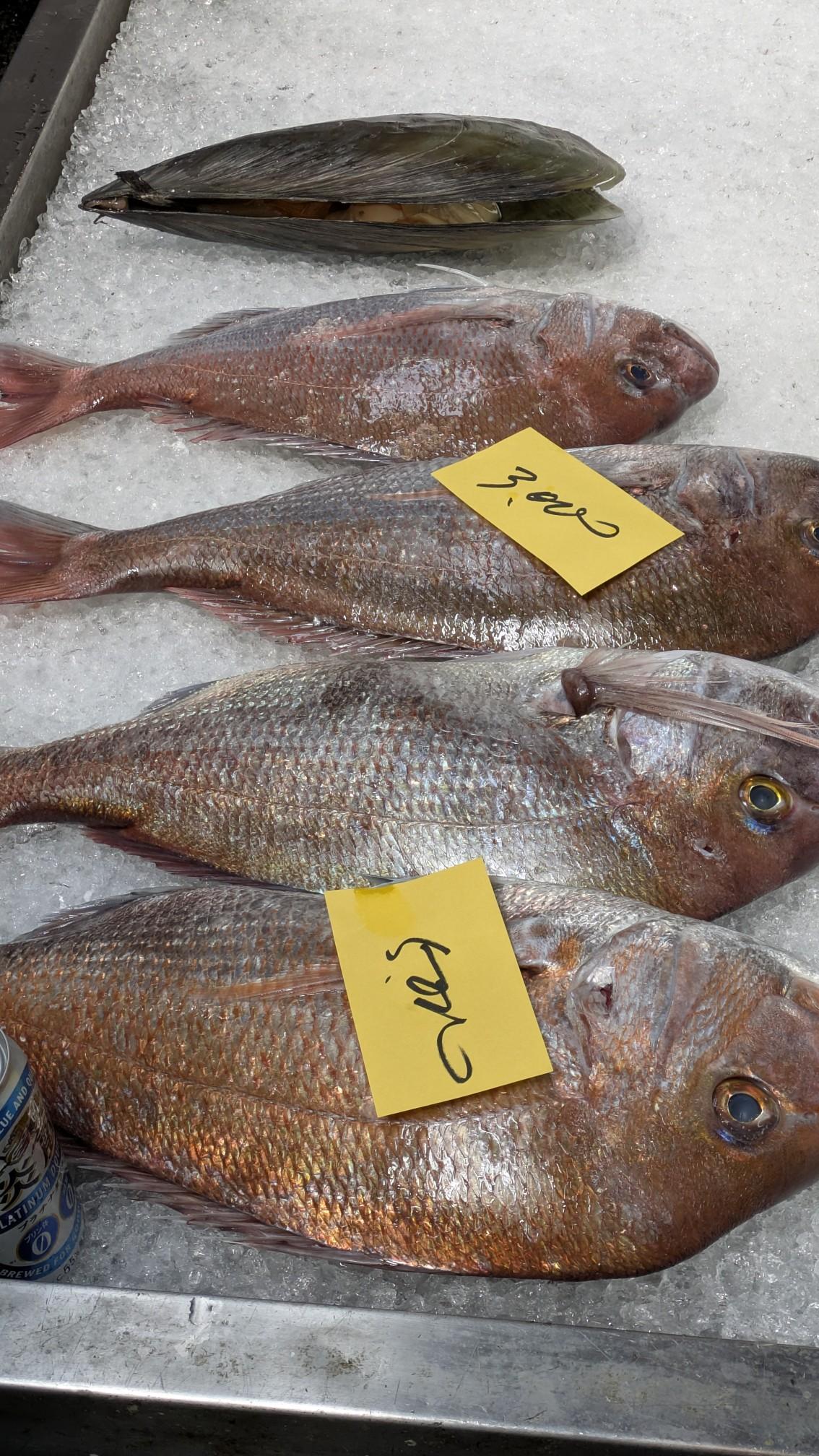 本日は、お山はオヤスミ😁 https:... / LEMON🍋さんのモーメント | YAMAP / ヤマップ