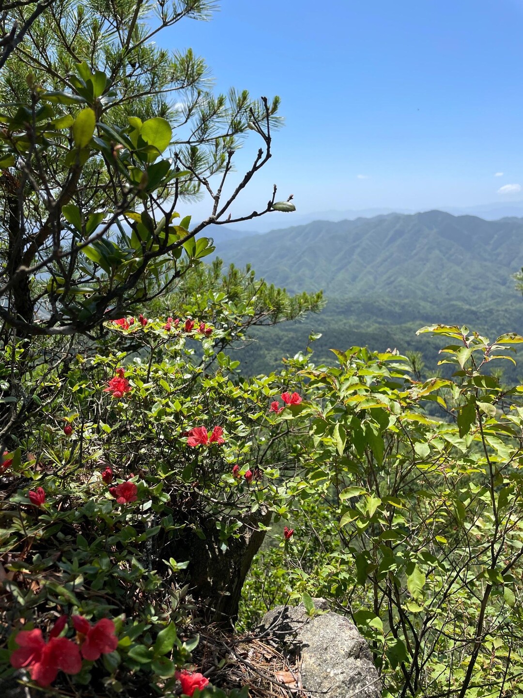 女体山 (長尾）・矢筈山・女体山（石田）・東女体山 / もりあさんの矢筈山・女体山の活動データ | YAMAP / ヤマップ