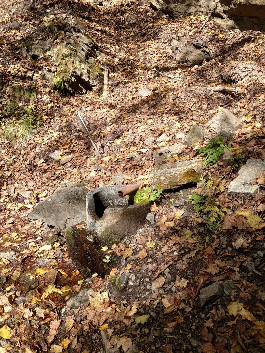 とやけん1231さんの投稿したフィールドメモ | YAMAP / ヤマップ