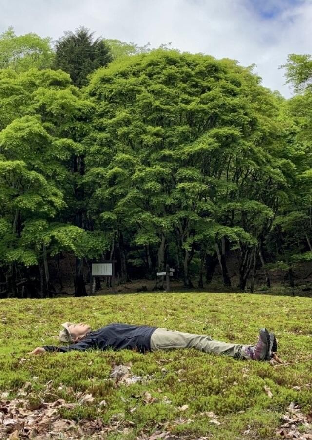 YAMAPを使い始めて、明日でちょうど一... / tae0218さんのモーメント | YAMAP / ヤマップ