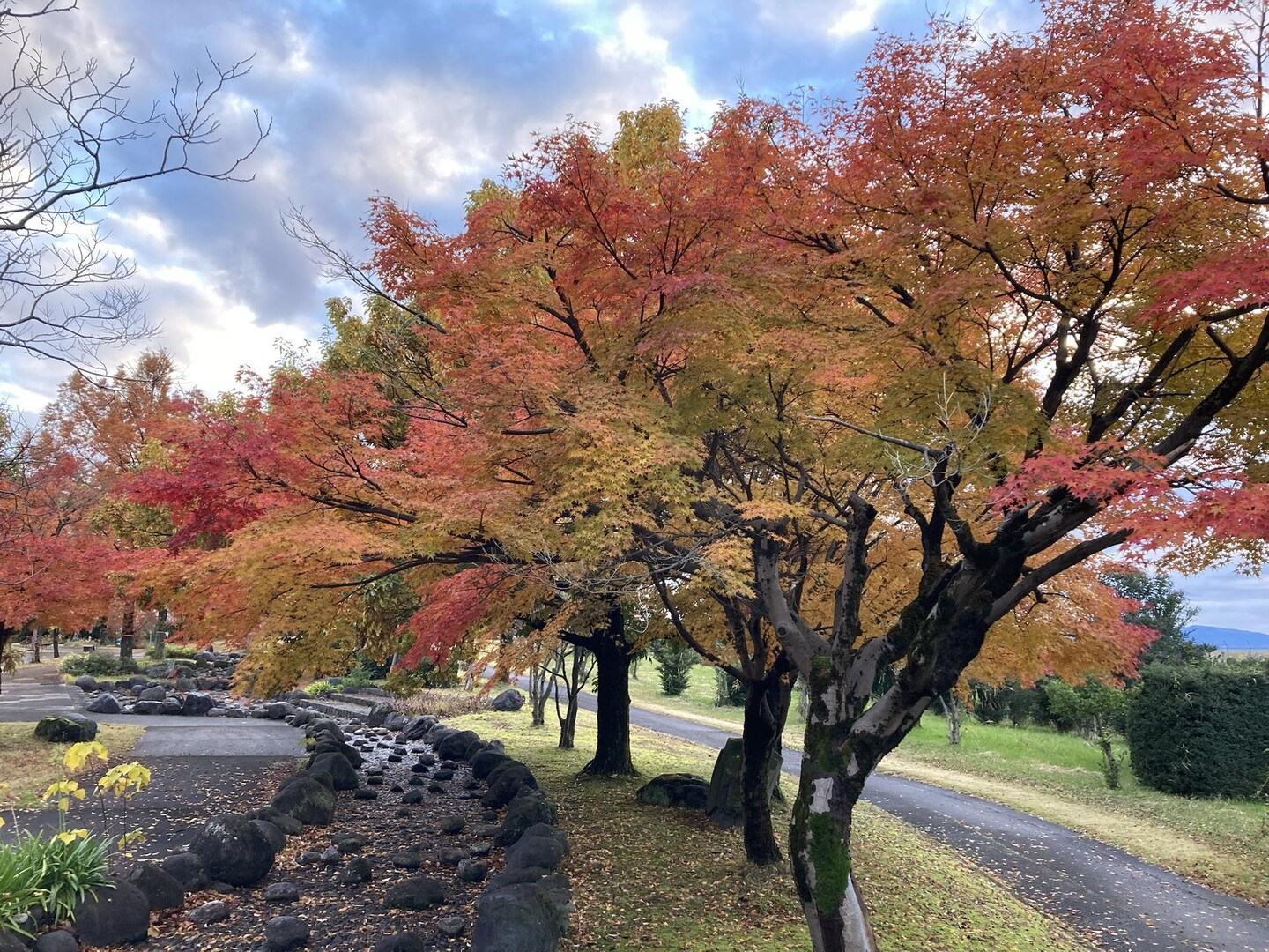 2024-12-1 もう師走ですね〜 今... / emikoroさんのモーメント | YAMAP / ヤマップ
