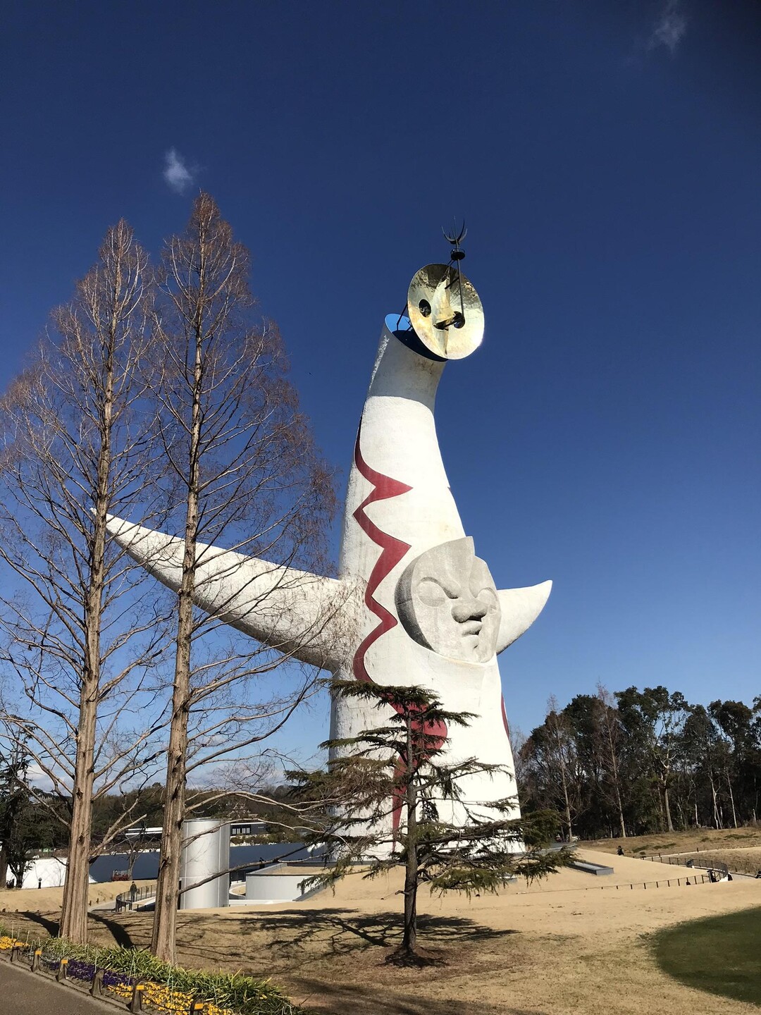 T-boyのページ | YAMAP / ヤマップ