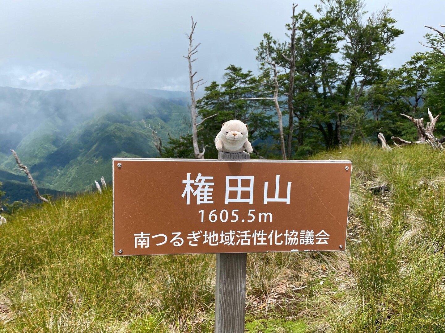 権田山 / ののさんの不入山・久井谷山の活動データ | YAMAP / ヤマップ