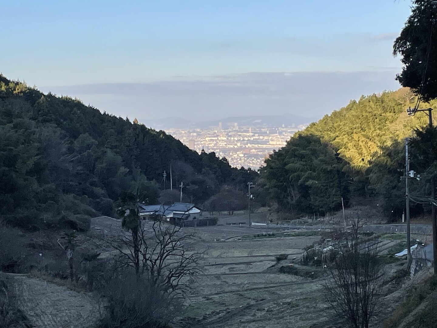 交野山 2024-12-29 / すーマッハさんの交野山・国見山の活動データ | YAMAP / ヤマップ
