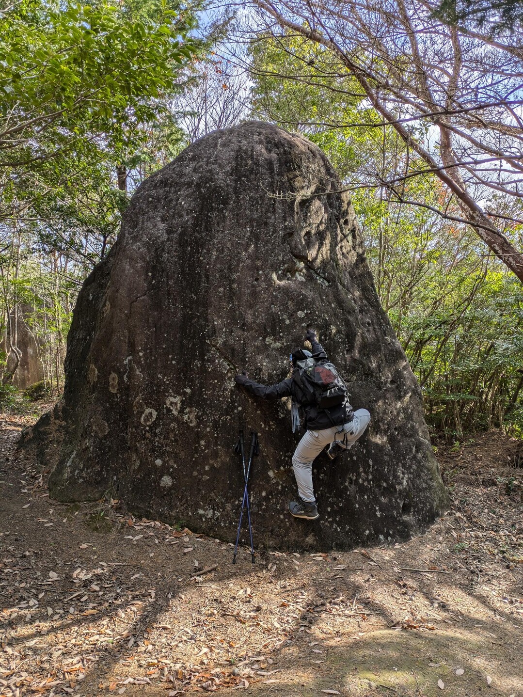 八面山北峰・八面山 / chihoさんの八面山の活動データ | YAMAP / ヤマップ