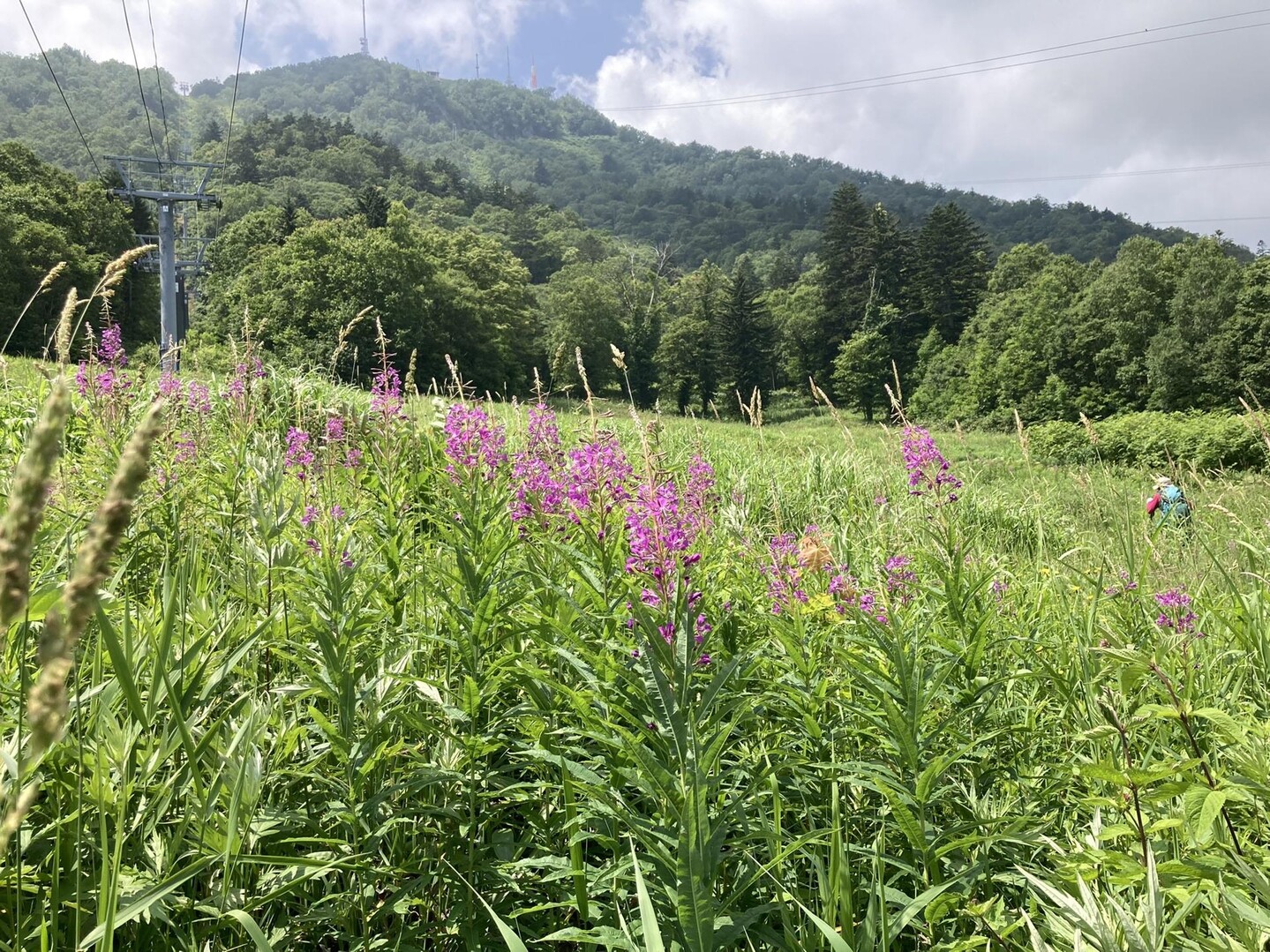 手稲山💦🥵耐暑訓練💦🥵 / BAKUさんの手稲山・奥手稲山の活動日記 | YAMAP / ヤマップ