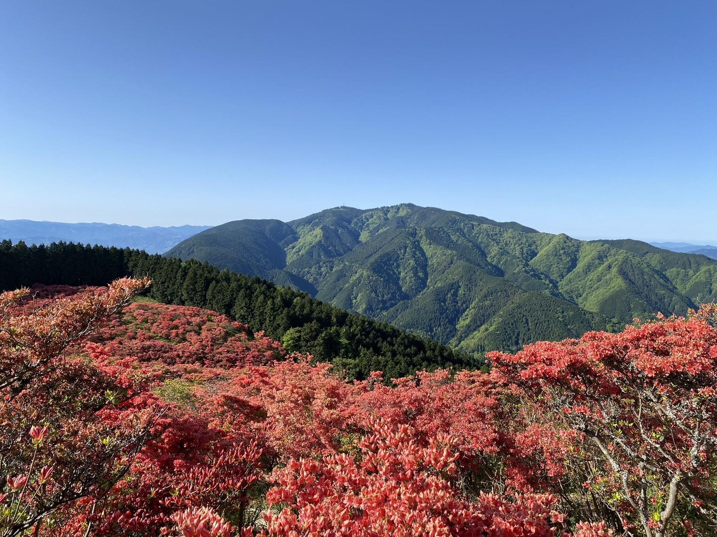 ロープウェイで行く😅大和葛城山 / hiro_wakaさんの金剛山・二上山・大和葛城山の活動データ | YAMAP / ヤマップ