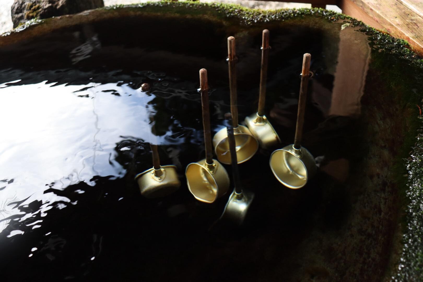 英彦山（南岳） / erikoさんの英彦山の活動データ | YAMAP / ヤマップ