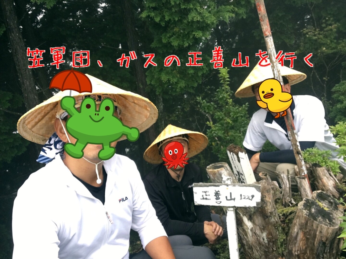 杖立峠－正善山(徳島)1h24m-2.2km / 笠軍団さんの剣山の活動日記 | YAMAP / ヤマップ