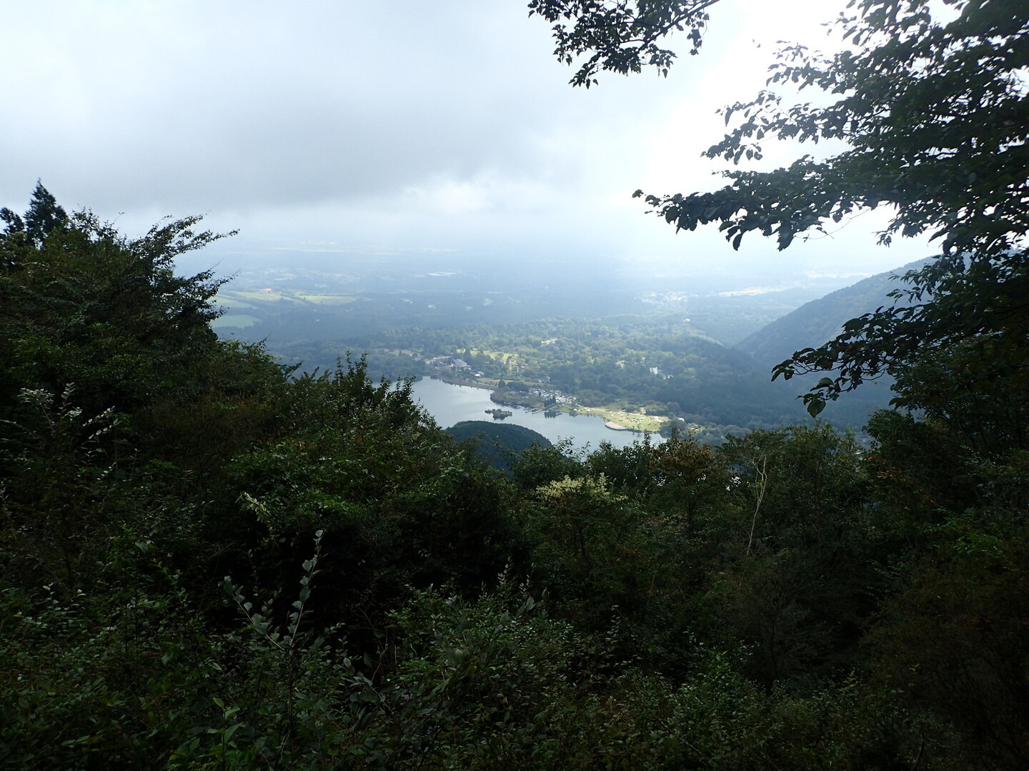 天子山塊トレイル / ankamoさんの長者ヶ岳・天子ヶ岳の活動データ | YAMAP / ヤマップ