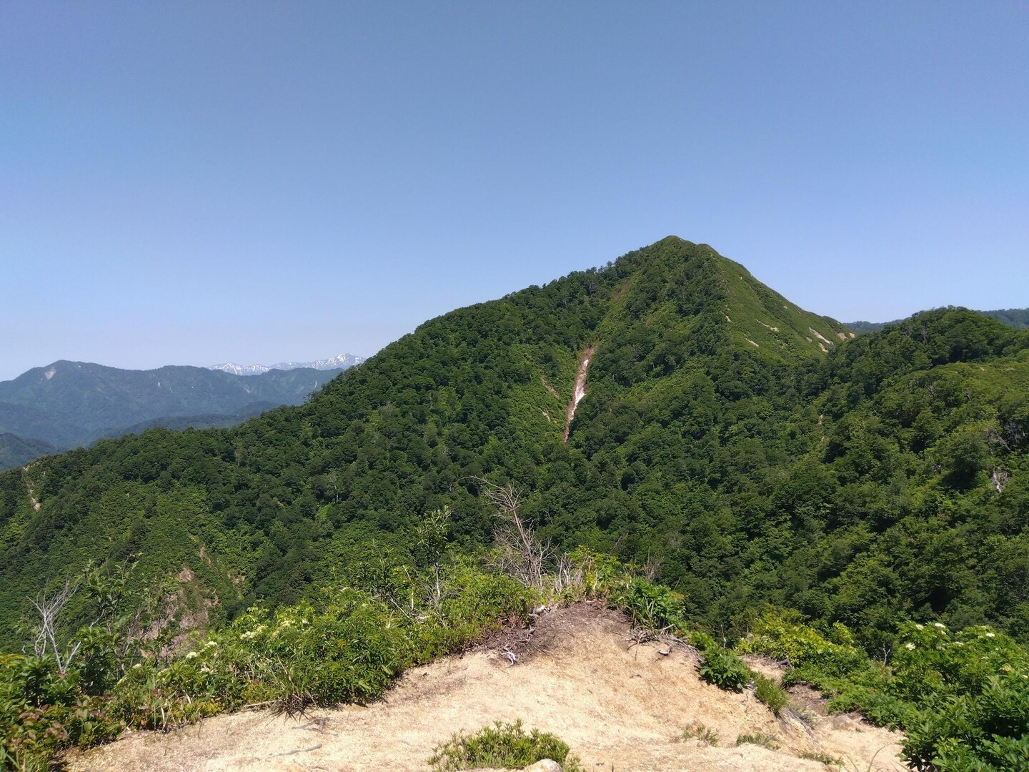 ピョンピョコ🐇⸒⸒〰︎‪‪ ︎‬ / shino-puさんの光兎山・奥山（虚空蔵峰）の活動データ | YAMAP / ヤマップ