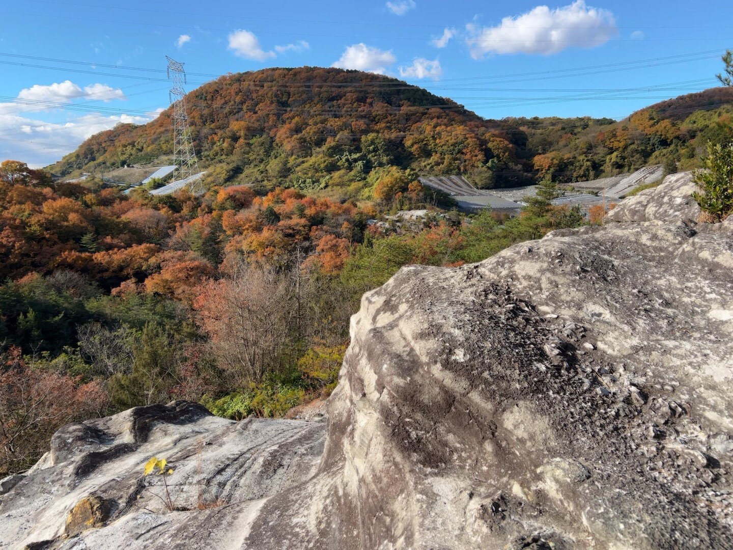 屯鶴峯から明神山・三室山・信貴山へ / ばーどさんの明神山・玉手山の活動データ | YAMAP / ヤマップ