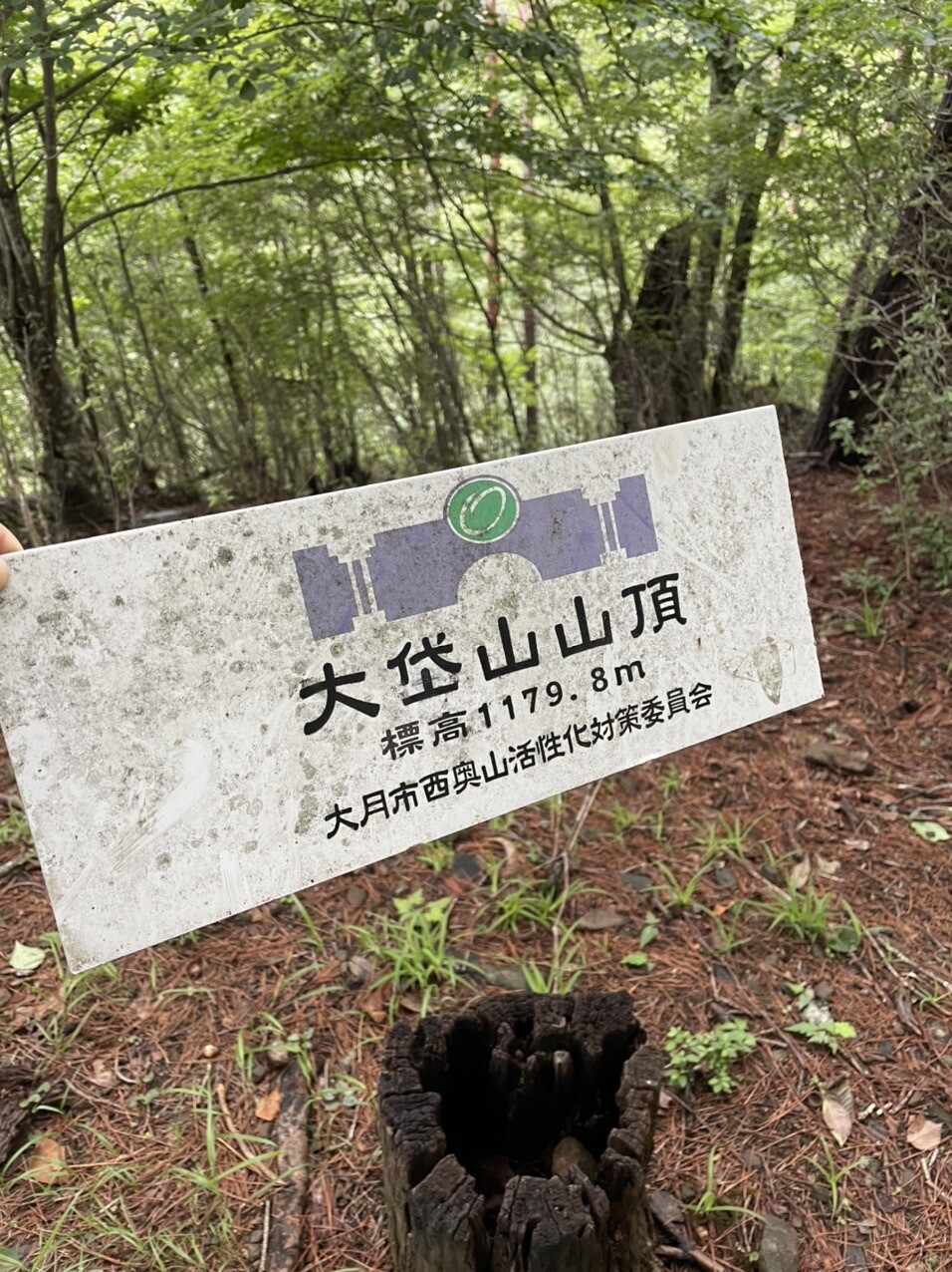 yuさんの投稿したフィールドメモ | YAMAP / ヤマップ