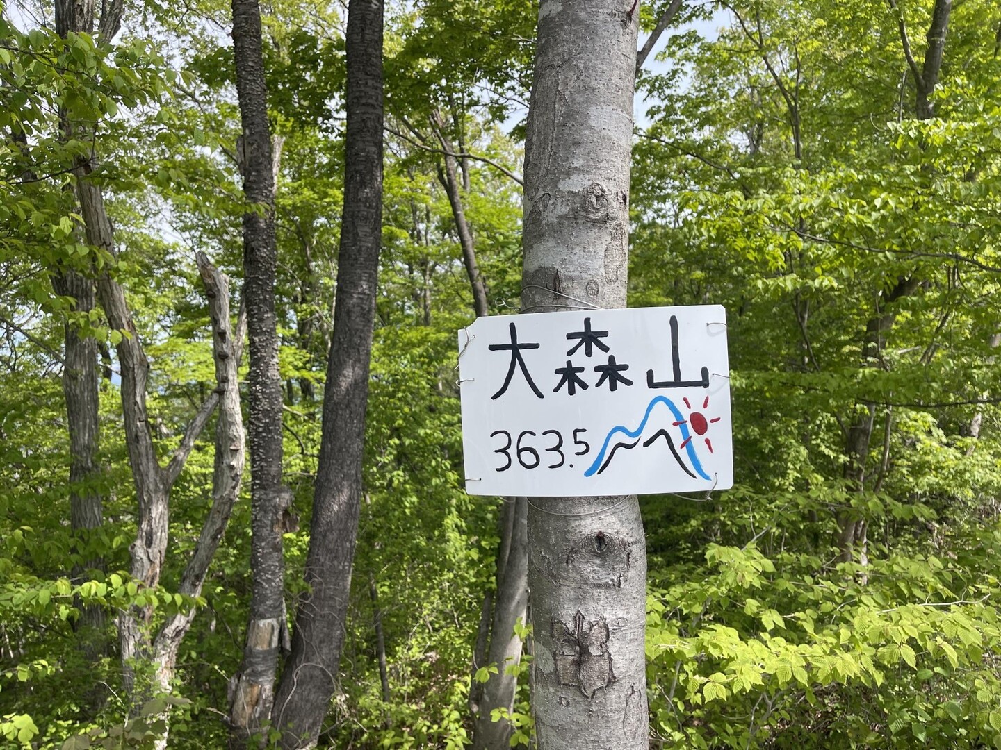 大森山・小塚山・岩垂山・五郎山・箱倉山（函倉山） / DDT-EXさんの白沢五山（五ツ森）の活動データ | YAMAP / ヤマップ